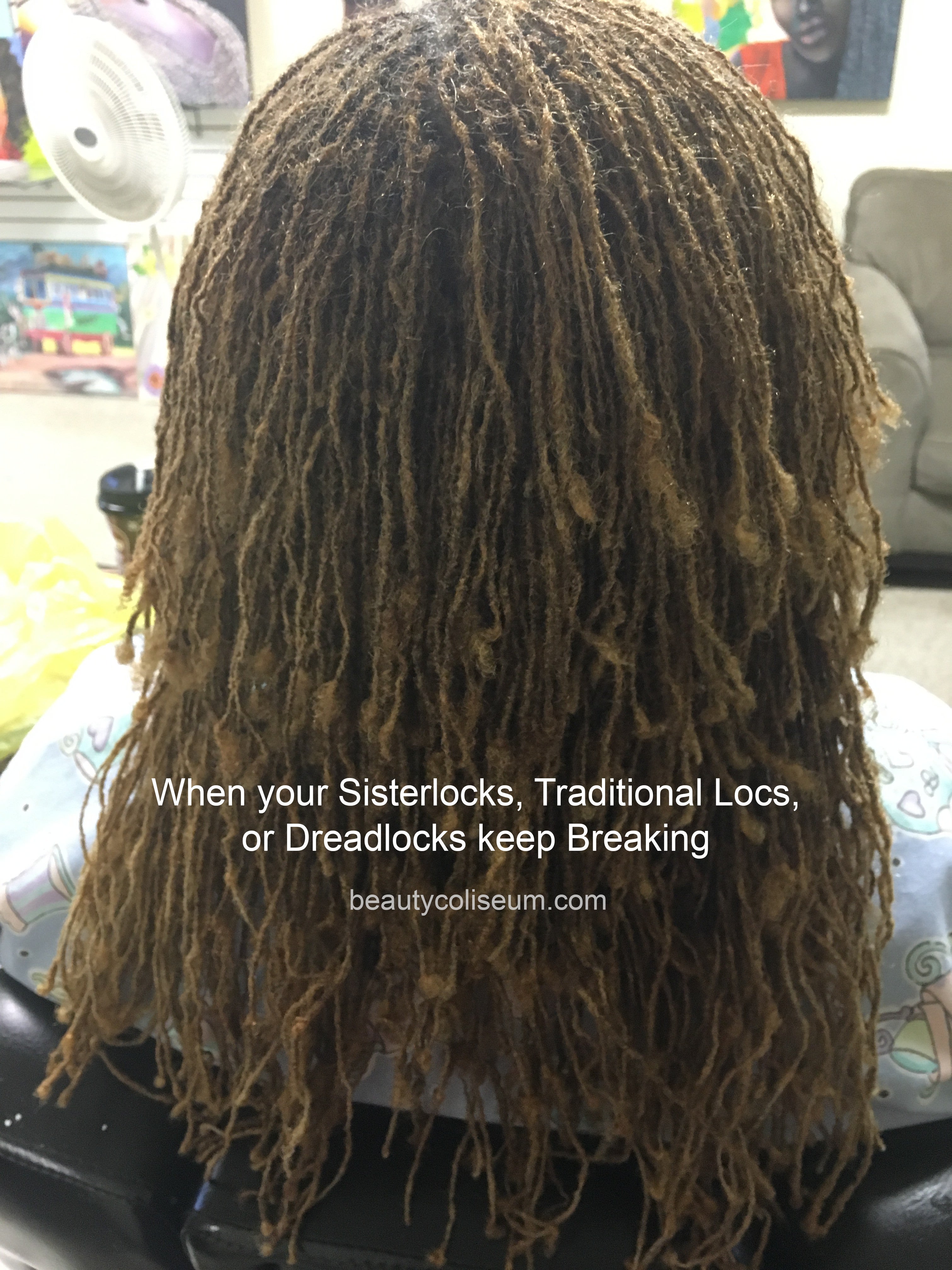 Does Your Sisterlocks or Dreads Keep Breaking Off? Do this! – Beauty ...